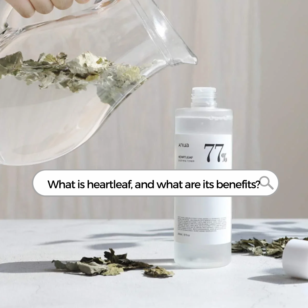 The Benefits of Heartleaf Extract in Your Skincare Routine🌿 – MOIDA